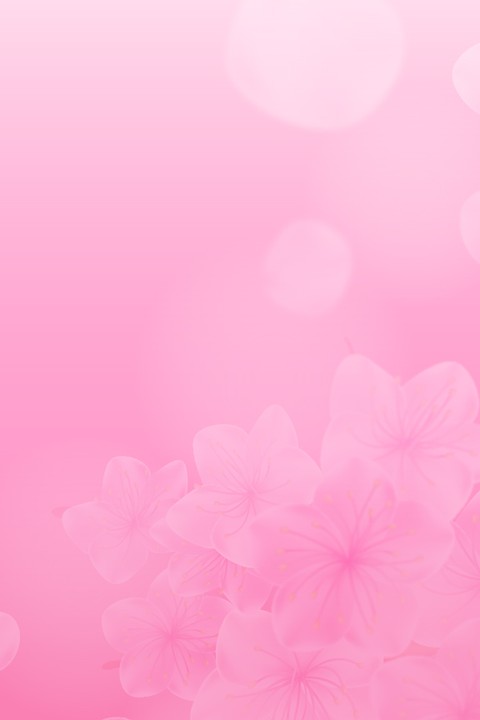 Book Writing | BriBooks